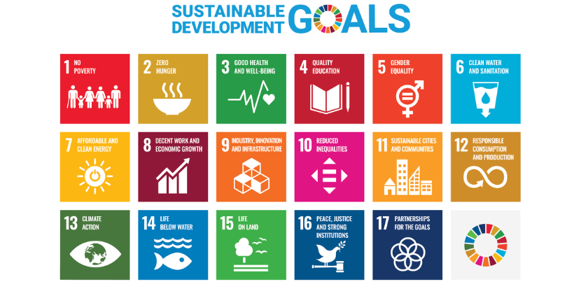 How public libraries play a crucial role in sustainable development